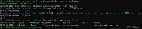 docker管理、进入、导入导出容器操作（命令讲解 代码举例） docker 进入 退出 导出 导入命令 csdn博客