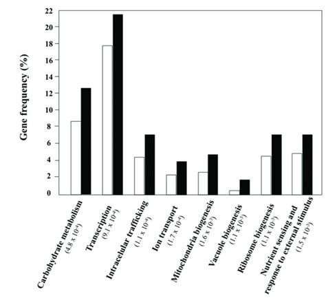 clustering based on physiological function of yeast genes required