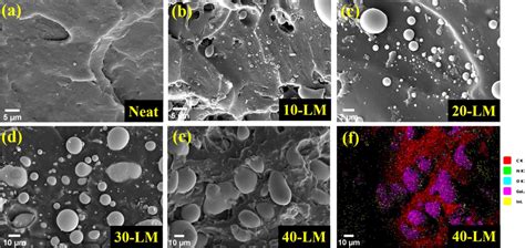 Cross Section Morphologies Of Neat Modified Block Copolymer And