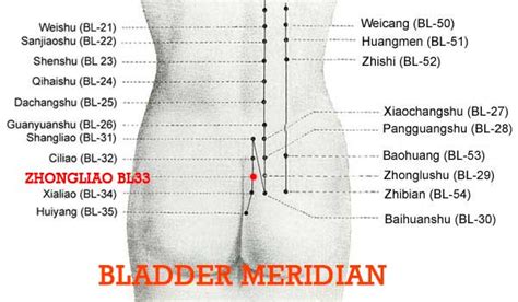 Zhongliao Bl33 Nomenclature Location Functions Indications