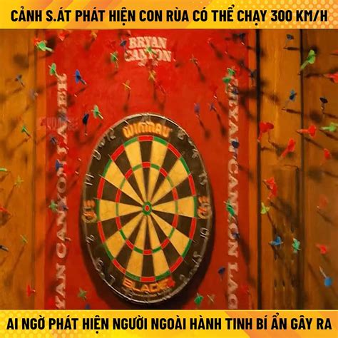 Cảnh Sát Phát Hiện điều Kỳ Lạ Khi Bắn Tốc độ Chú Rùa Con Cảnh Sát Phát Hiện điều Kỳ Lạ Khi Bắn