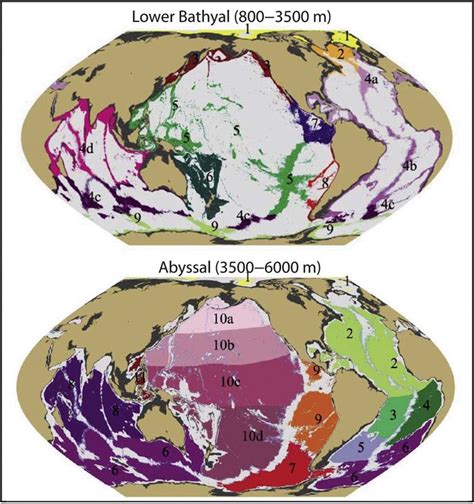8 Global Open Ocean And Deep Sea Habitats Goods Benthic Download