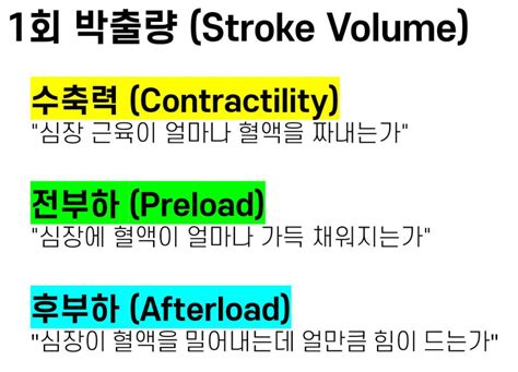 1회 박출량 Stroke Volume Sv 심박출량 01 의학당