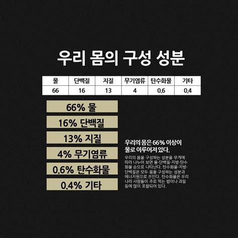 파이그래프의 변신 분석형 인포그래픽 주피티위즈 Ptwiz