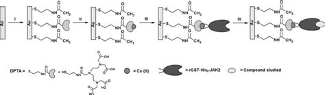 scheme of biosensor preparation download scientific diagram