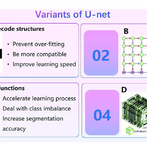 variants of u net a cascade decoder a universal decoding method
