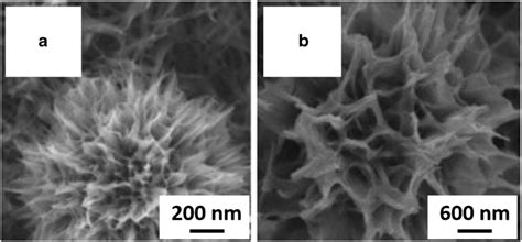 Fe Sem Image Of A V2o5 Microflowers And B V2o5 Honeycomb Like Download Scientific Diagram