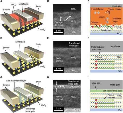 Comparison Of Top Gated Mosfet And Tmgfet A Schematic Device Download Scientific Diagram