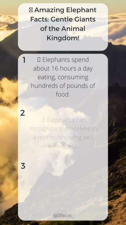 Crazy Facts You Wont Believe Youtube