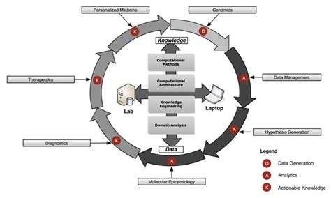 From Molecules To Patients The Clinical Applications Of Translational