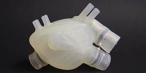Testing A Soft Artificial Heart Eth Zurich