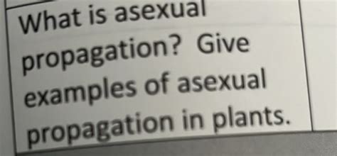 What Is Asexual Propagatic On Give Examples Of Asexual Propagation In
