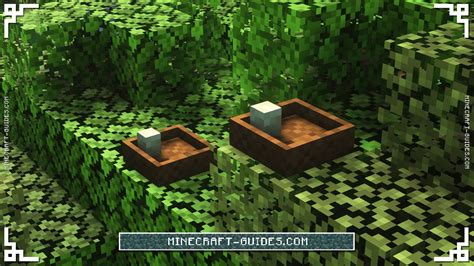 Minecraft Exotic Birds Mod Guide And Download Minecraft Guides Wiki