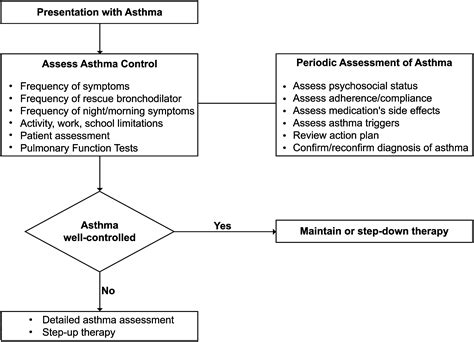 Attaining Optimal Asthma Control A Practice Parameter Journal Of