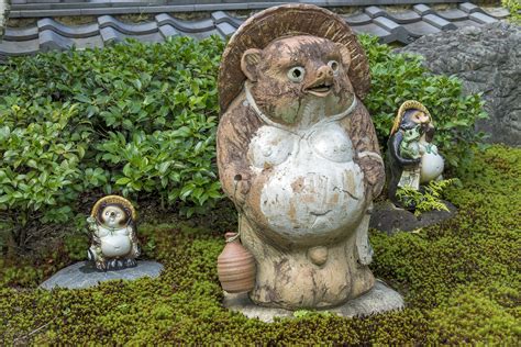 Tanuki «