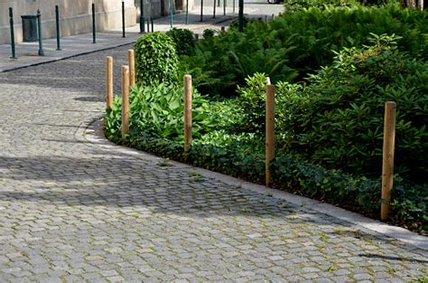 린든 골목의 저성장에있는 그늘진 화단 아이비와 양치류가 지배적입니다 침대는 분리되어 기둥이 밧줄로 얽혀있는 울타리로 묶여 있습니다 심기의 가장자리에 밧줄 울타리 0명에 대한