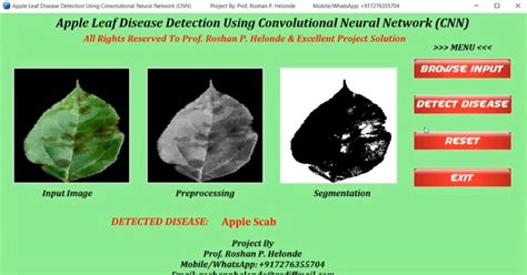 Apple Leaf Diseases Detection Using Cnn Convolutional Neural Network