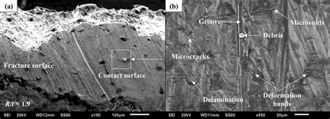 Sem Image Showing A Galling On The Contact Surface And The B Effects Of Download Scientific