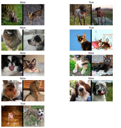 Siamese Networks With Fastai Julius Data Science Blog