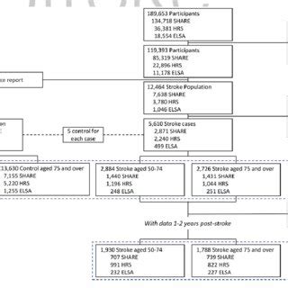 Flowchart Of The Study Samples Controls Matched On Sex Wave Survey Download Scientific