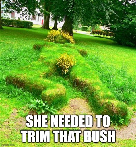 Image Tagged In Bush Imgflip