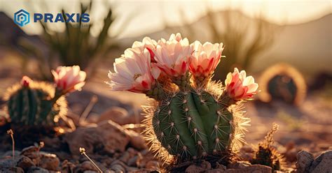 Why Invest In A Culture Of Security Adaptability