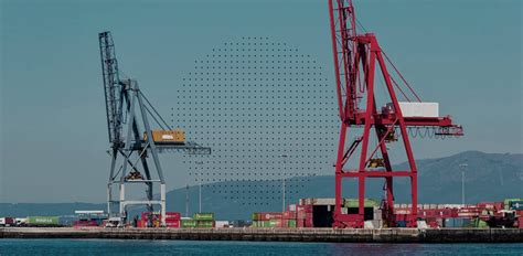 What Do I Need To Know About Typological Risk Sayari