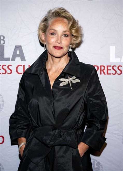 Sharon Stone Details Being Back Of Line In Hollywood As Stroke Led To