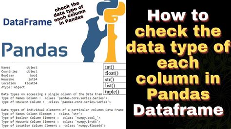 How To Check The Data Type Of Each Column In Pandas Dataframe Youtube