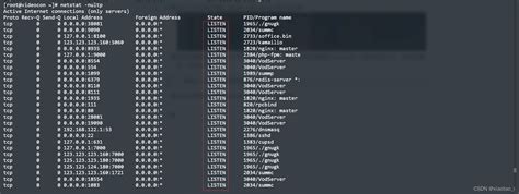 linux系统中如何查看某个端口是否被占用 89端口 csdn博客