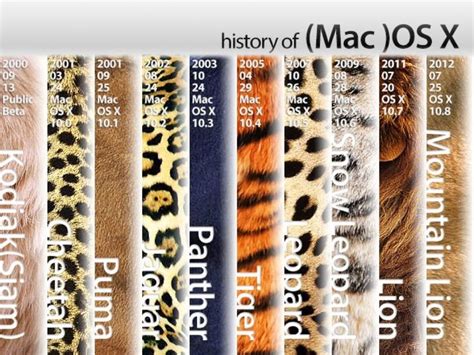 History Of Mac OS X Loop99 Mac Os History Mac