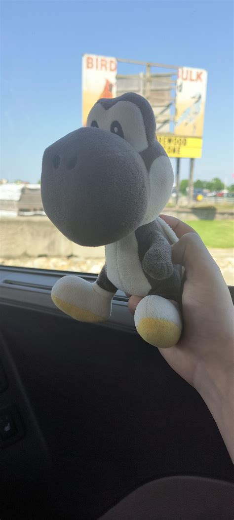 Got Black Yoshi I Believe Same One Sml Used R Supermariologan