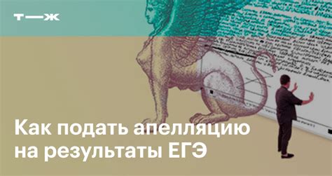 Как подать апелляцию на ЕГЭ в 2025 году сроки подачи порядок проведения рассмотрение комиссией