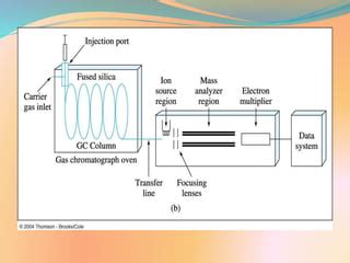 Hyphenated GC MS PPTX Chemistry Science