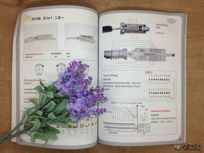 Lishi 2 in 1 User Guide (Free PDF Training Manuals) - Lockpicked