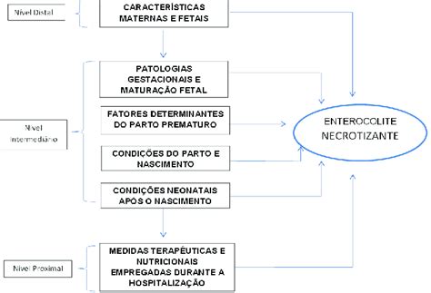 Flowchart Of The Hierarchical Relationship Between The Variables And