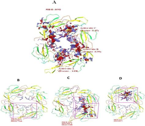 Active Site Prediction 3 D Structure Representation Of Tetrameric Rna Download Scientific