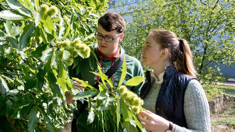Ecosystem Sciences Bsc International Programmes Daadremovejs