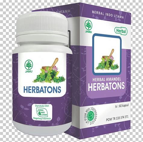 Tonsillitis Saiidah Herbal 74 Drug Capsule Png Clipart Brand Canker Sore Capsule Drug Herb