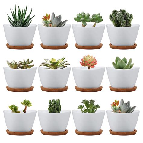 Succluent Pots Small Flower Pots Planter Pots With Drinageceramic