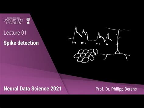 Spike Machine Learning For Better Data Analysis Reasontown
