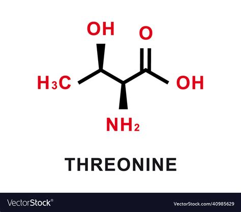 Threonine Chemical Formula Threonine Chemical Vector Image