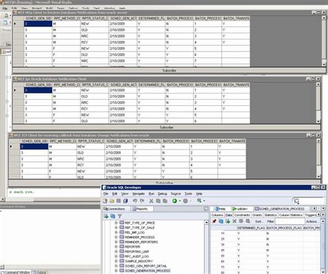 How To Receive Oracle Database Change Notification Using WCF SOA Technology With NetTCPBinding