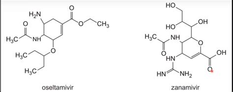 Oseltamivir Tamiflu And Zanamivir Relenza Diagram Quizlet
