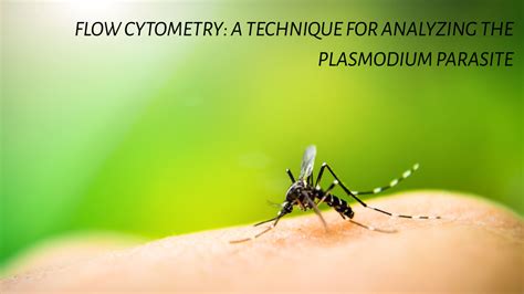 Flow Cytometry A Technique For Analyzing The Plasmodium Parasite