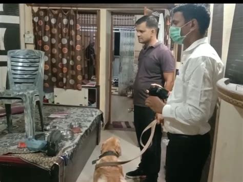 Eight Lakh Stolen By Breaking Lock In Banda बांदा में ताला तोड़कर आठ लाख की चोरी 70 हजार कैश