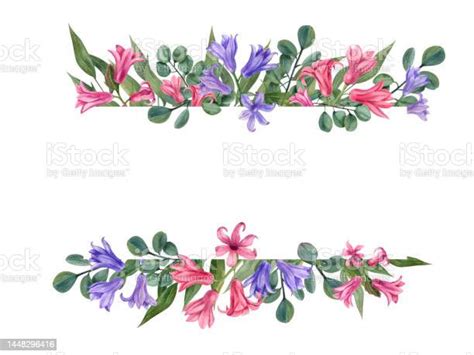 수채화 히아신스가 있는 수평 프레임 흰색 배경에 격리된 유칼립투스 발렌타인 데이 청첩장 생일 및 어머니의 날 카드 지문 및 다양한 장식에 대 한 그림 생일에 대한 스톡 벡터