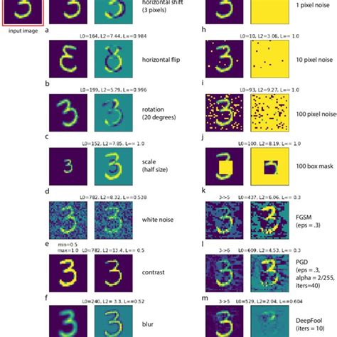 Illustration Of L P Norms For Different Types Of Geometric Download Scientific Diagram