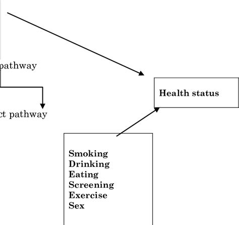 Psychology And Health Direct And Indirect Pathways Download Scientific Diagram