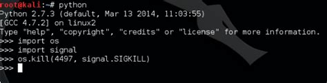 Python 如何终止进程 Python基础教程